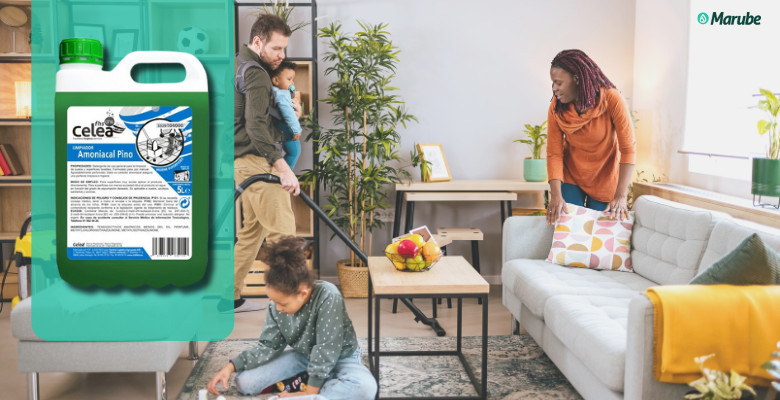 Beneficios de productos de limpieza con aromas de invierno